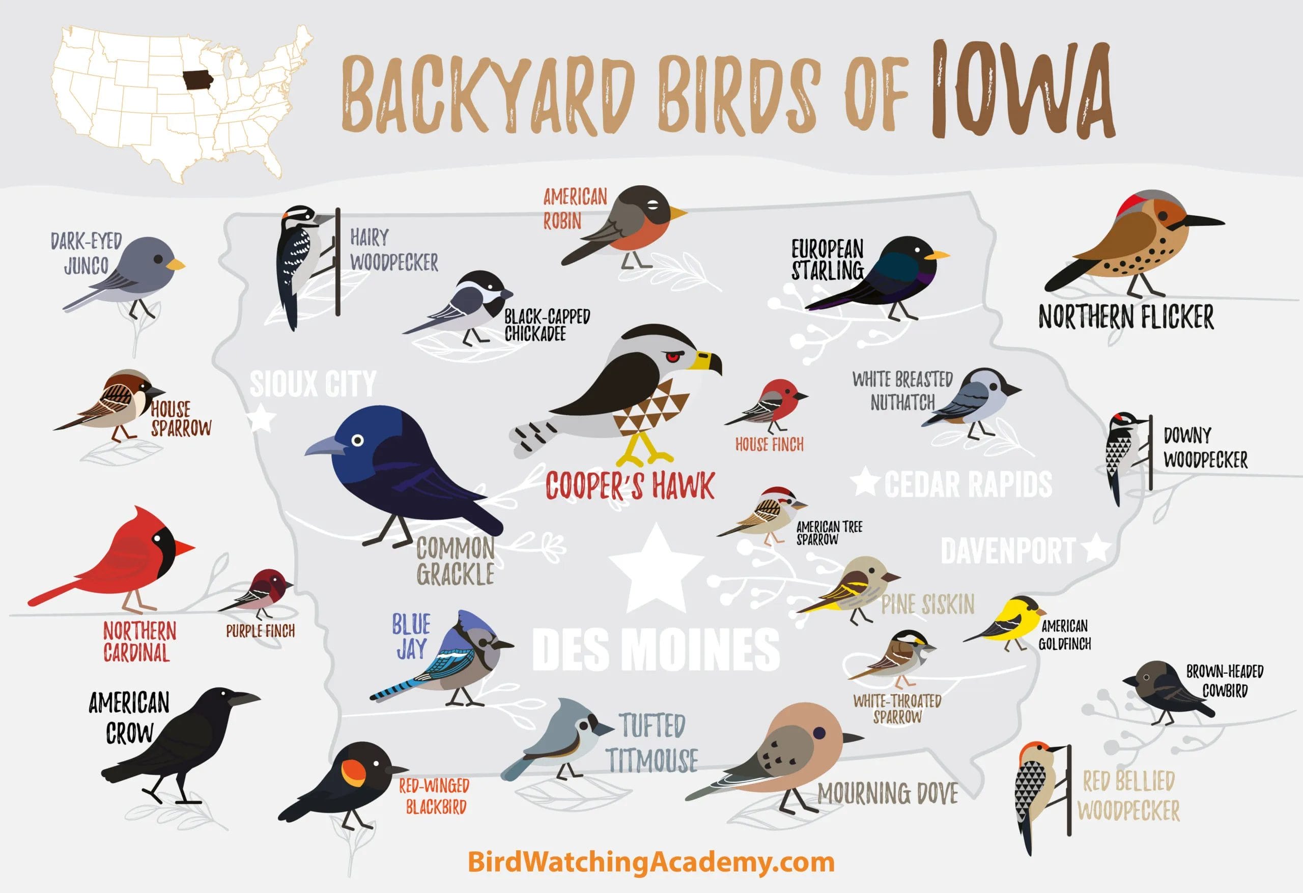 10 Surprising Facts About Birds Of Iowa